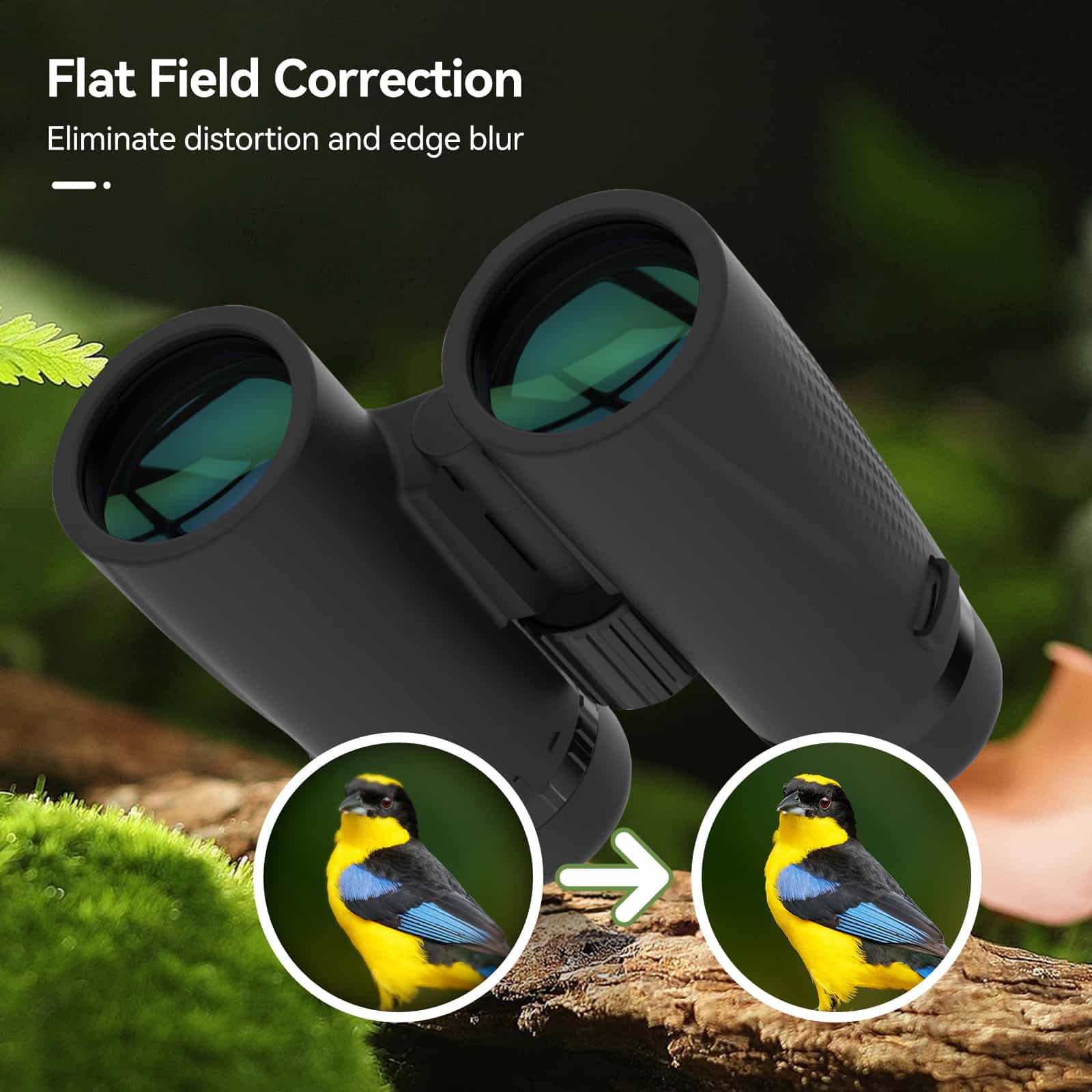 SA205 8x42 ED Flat-field Binoculars With BaK-4 Prism IP67 - Dark Clear ...