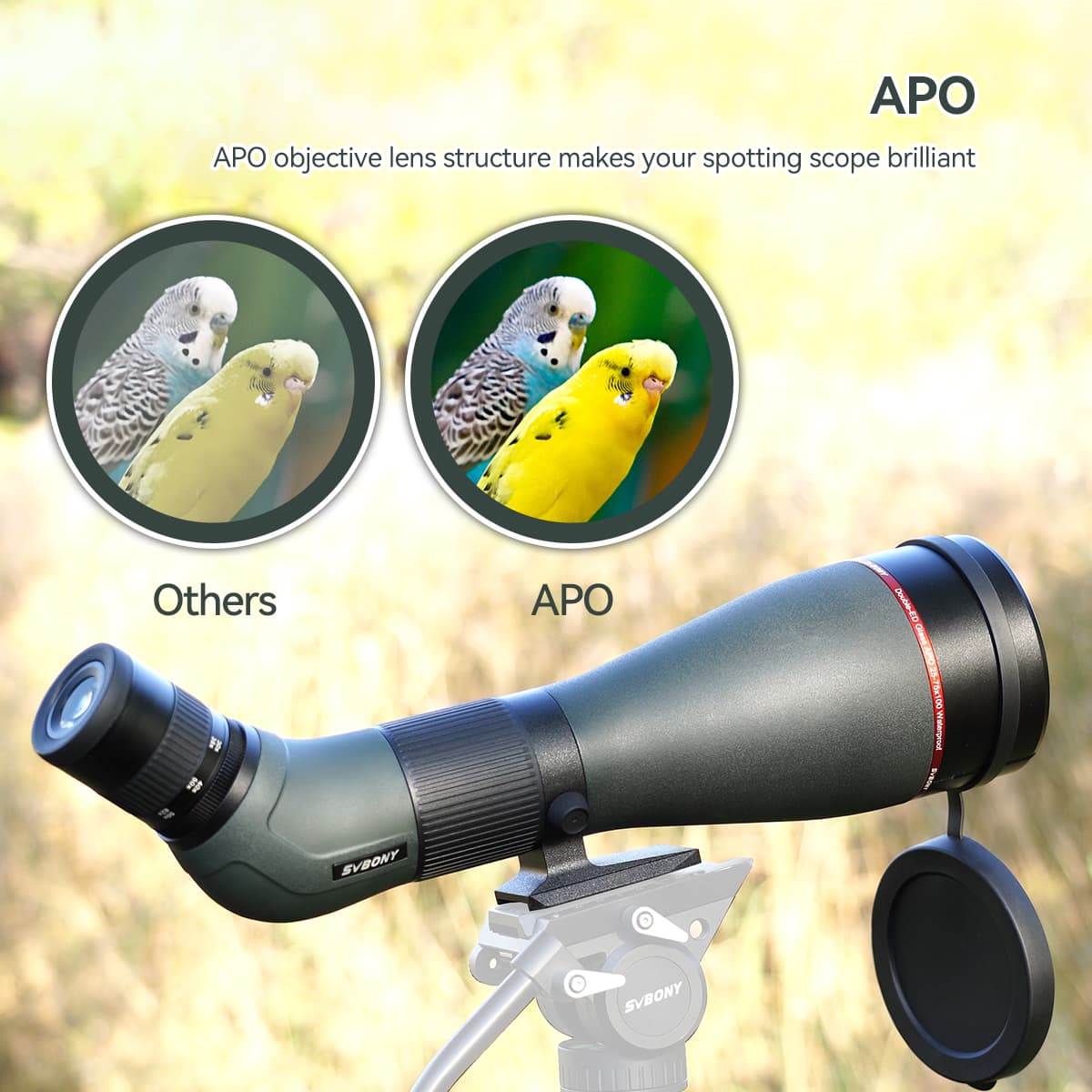 SA401 APO 25-75X100 Double ED Spotting Scope - Dark Clear Skies for all ...